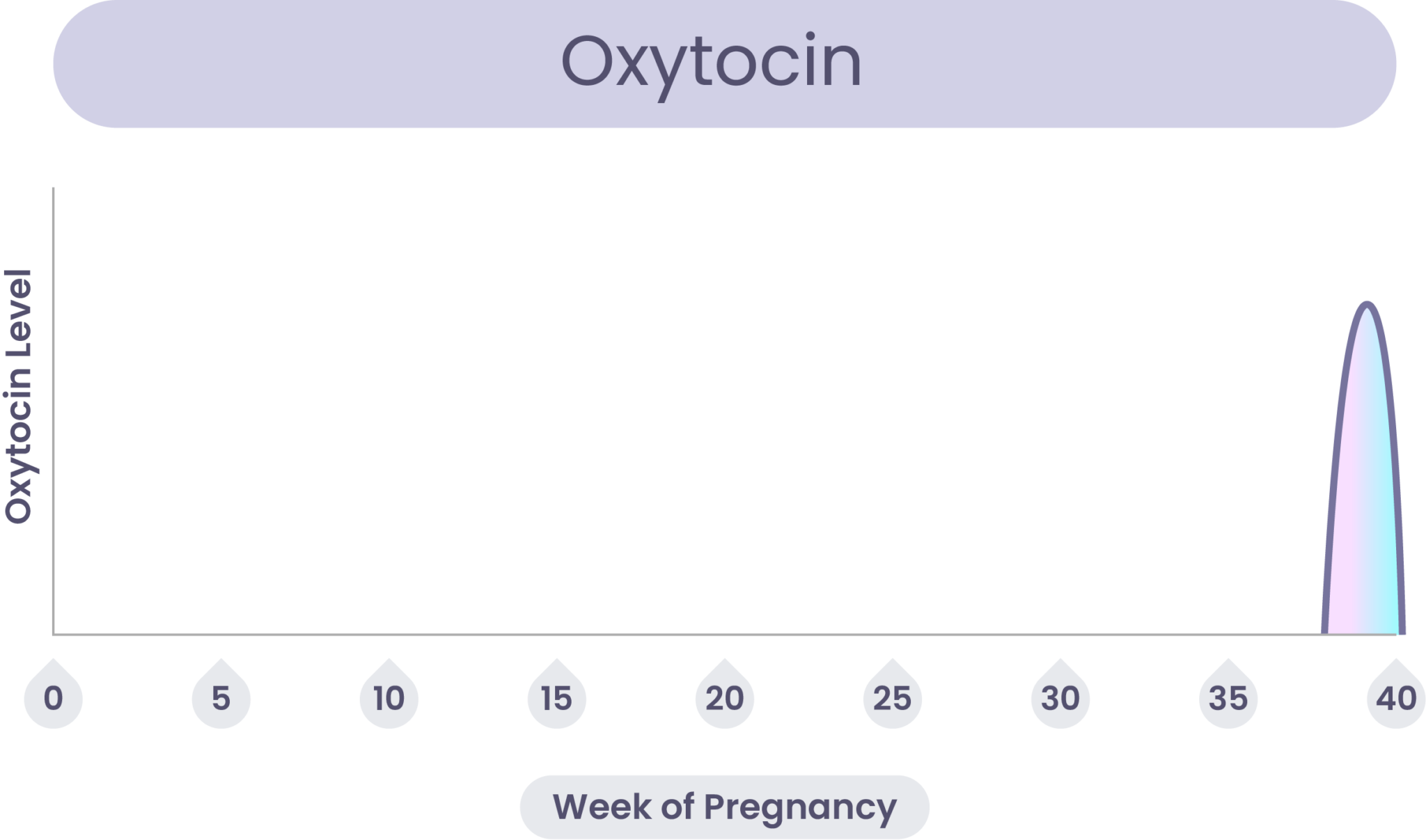 Pregnancy & Hormones: Changes and Symptoms | Forth